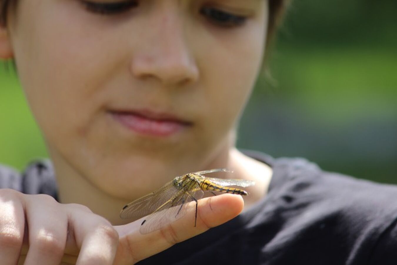 Pepe and the world of insects / PEPE UND DIE WELT DER INSEKTEN - Film ...